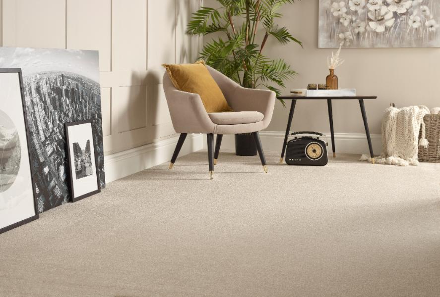 Invincible Discovery Deluxe Carpet